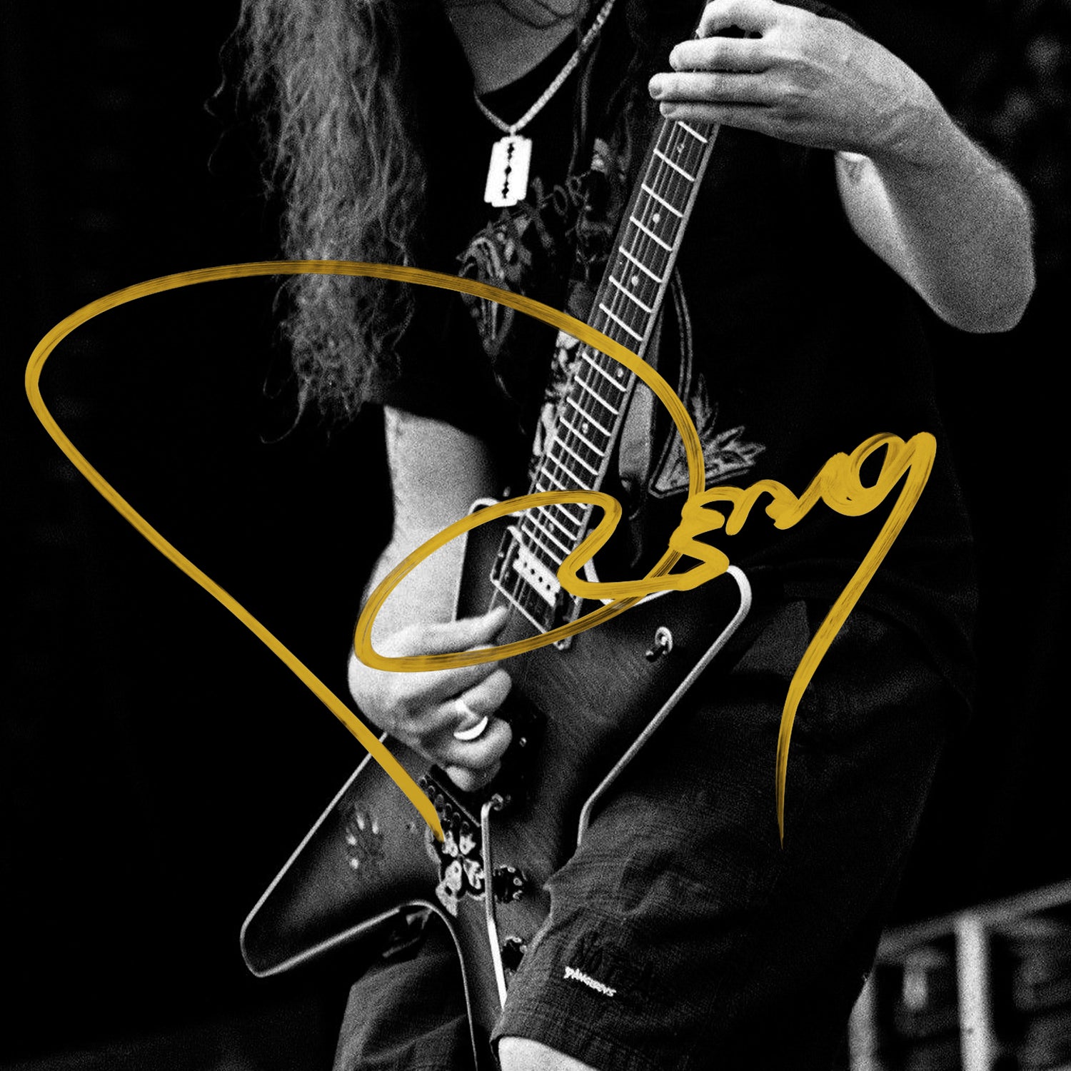 Pantera Dimebag Darrell Memorial Photo Limited Signature Edition Custom ...
