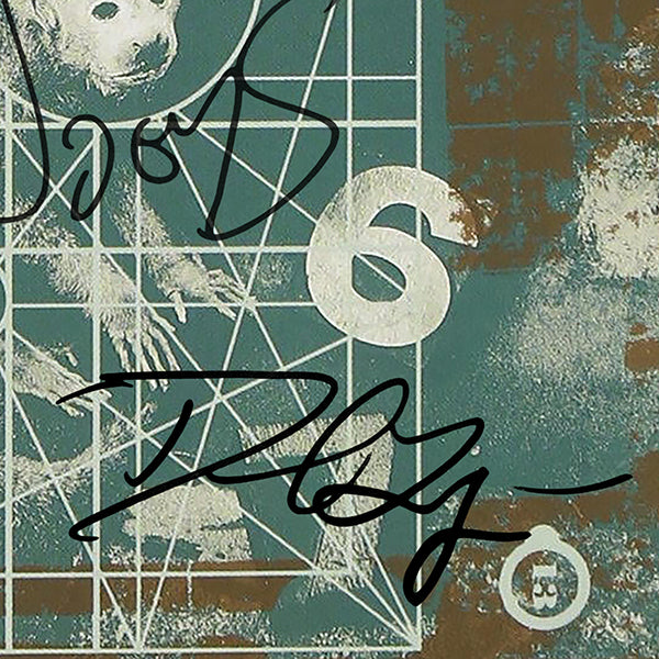 The Pixies - Doolittle LP Cover Limited Signature Edition Custom Frame ...